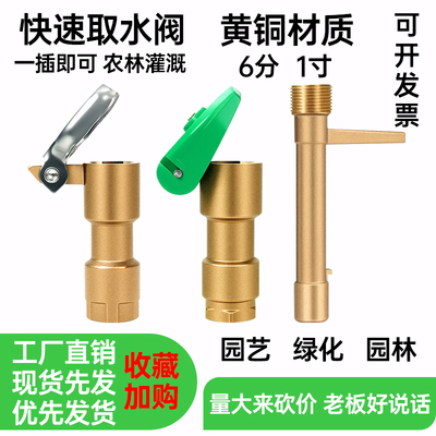黄铜绿化取水器快速取水阀草坪钥匙阀门箱6分地插铜园林取水杆1寸
