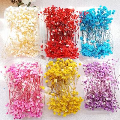 永生花满天星干花手工DI