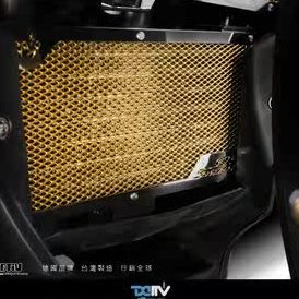DMV S1000R S1000RR S1000XR HP4 油冷護網 (基本款)