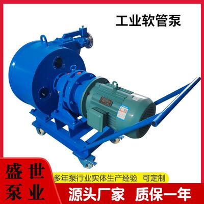 RGB100软管泵挤压泵发泡泵水泥泥浆输送泵蠕动泵工业泵头电动