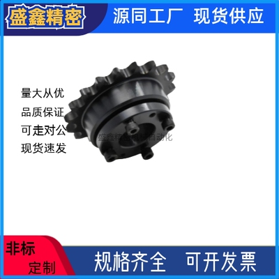免键链轮BLFSP40BLFSP40B17