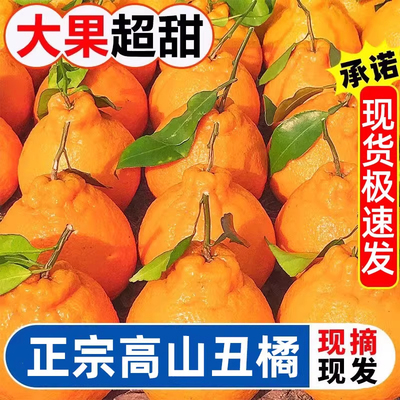 【下单立减30】丑橘不是耙耙柑甜橘子新鲜蜜橘桔子时令水果丑桔