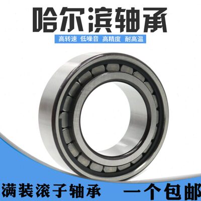 满装圆柱滚子轴承SL04/NNF 5004PP 5005PP 5006PP 5007PP 5008PP