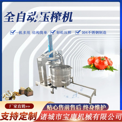 双桶轮换式液压压榨机 全自动液压式脱水果蔬压榨机 葡萄酒压榨机
