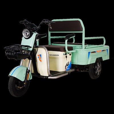 电动三轮车家用载人载货摆摊货斗三轮电动车出门代步拉货车