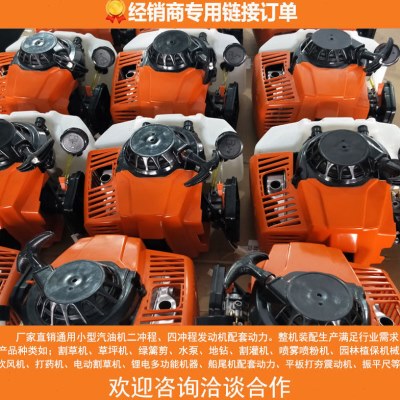 1E48F汽油发动机头大功率63cc通用小型改装卡丁车割草机地钻挖坑