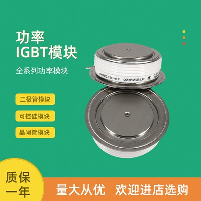 平板可控硅晶闸管T619N16TOF T618zN16TOF T86N12TOF T86N14TOF
