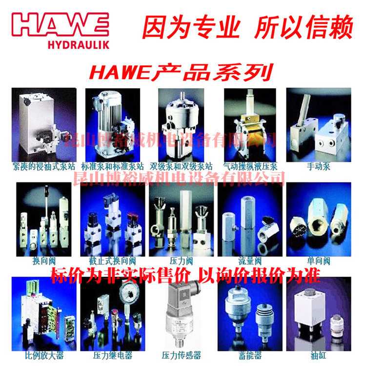 HAWE压力继电器 DG33 34,35,-1/4,365 -Y1其他液压工具其他液压工