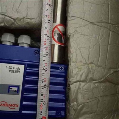 议价GESTRA NRGT 26-1S 液位探头