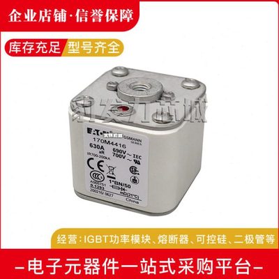 170M4951/4952/4953/4954/4955/4956/4957/4958/4959/4960熔断器