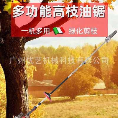 意大利叶红高枝油锯伸缩加长杆园艺果树高空锯高空剪叶红DS2410