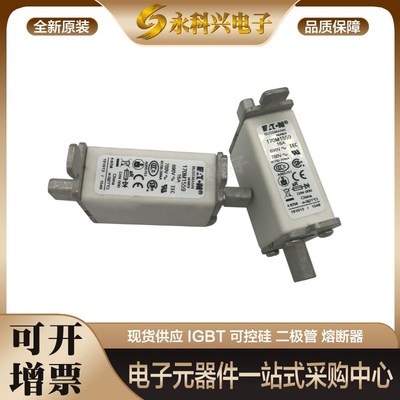 快速熔断器保险丝170M1558 1559 1560 1561 1562 1563 1564 1565