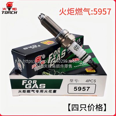 K25朗/油95悦气K3天两用艾燃气瑞虎瑞泽37火花塞瑞迪动福动火炬 5