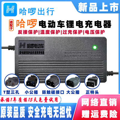哈啰电动车棒途A8L锂电充电器48V12AH24AH54.6V2A3A H16C52H10A80