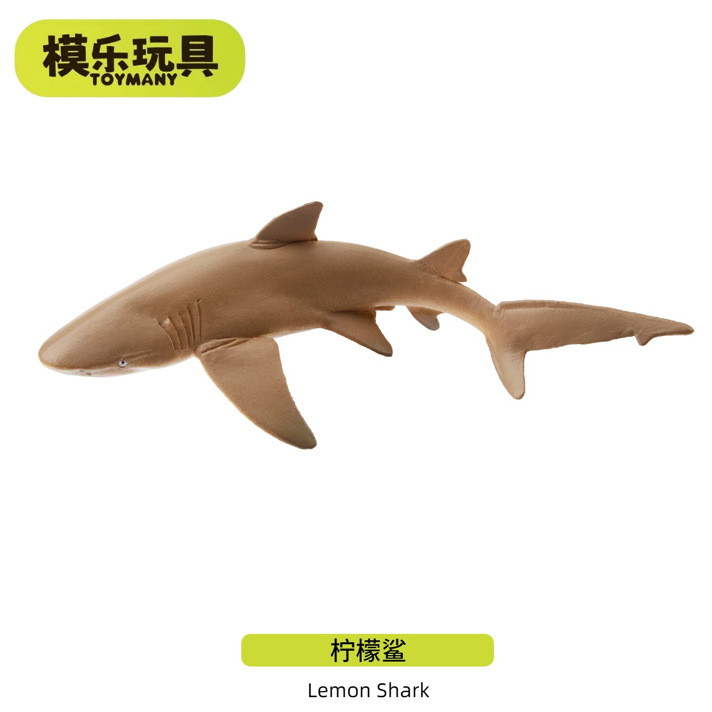 模乐玩具TOYMANY柠檬鲨海洋生物系列仿真动物模型鲨鱼儿童玩具