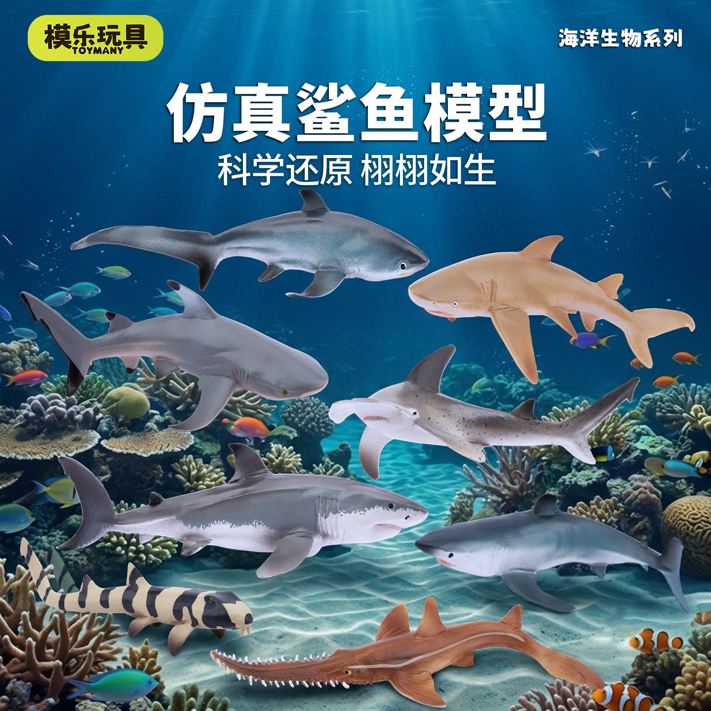 模乐玩具TOYMANY海洋生物系列仿真动物模型鲨鱼白鲨双髻鲨玩具