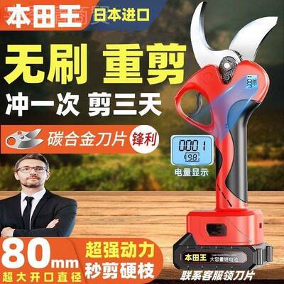 德国进口电动修枝29718剪树剪充电式专园果艺园林用粗枝硬枝锂剪
