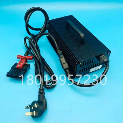杭叉杭州电动叉车锂电搬运车CBD15-AMC1LI充电机充电器24V20A配件