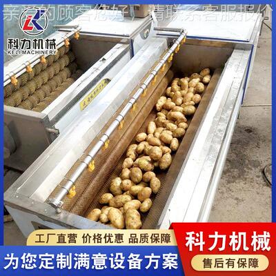 现货毛辊去皮清洗机 洋去去皮机生姜葱皮清机CGW厂洗家 洗菜机现