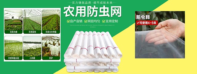 网罩棚农用网栋蚂蚱聚乙烯草莓连目防虫脐橙养殖蔬菜水果大棚