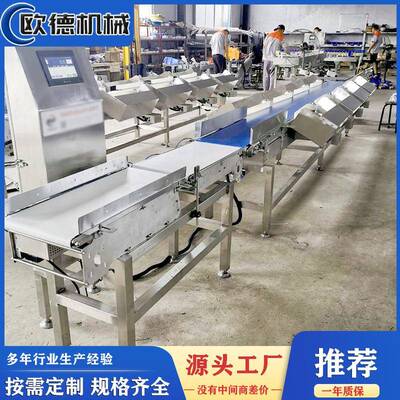 鲅鱼称重分选机自动称重分选加长鲅鱼分拣机皮带式重量分选机
