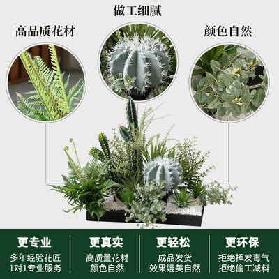 仿真仙掌造景沙生软石景玄关下槽角落假绿植
