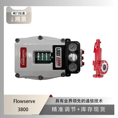 Flowserve 福斯 3800 智能阀门定位器搭配 S&R系列 LESER安全阀