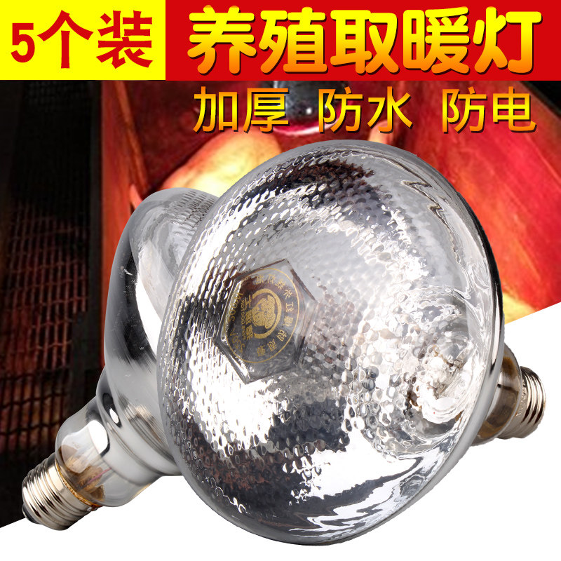 育雏保温灯养殖场取暖节能畜牧宠物小鸡仔猪用保暖加热灯泡全套