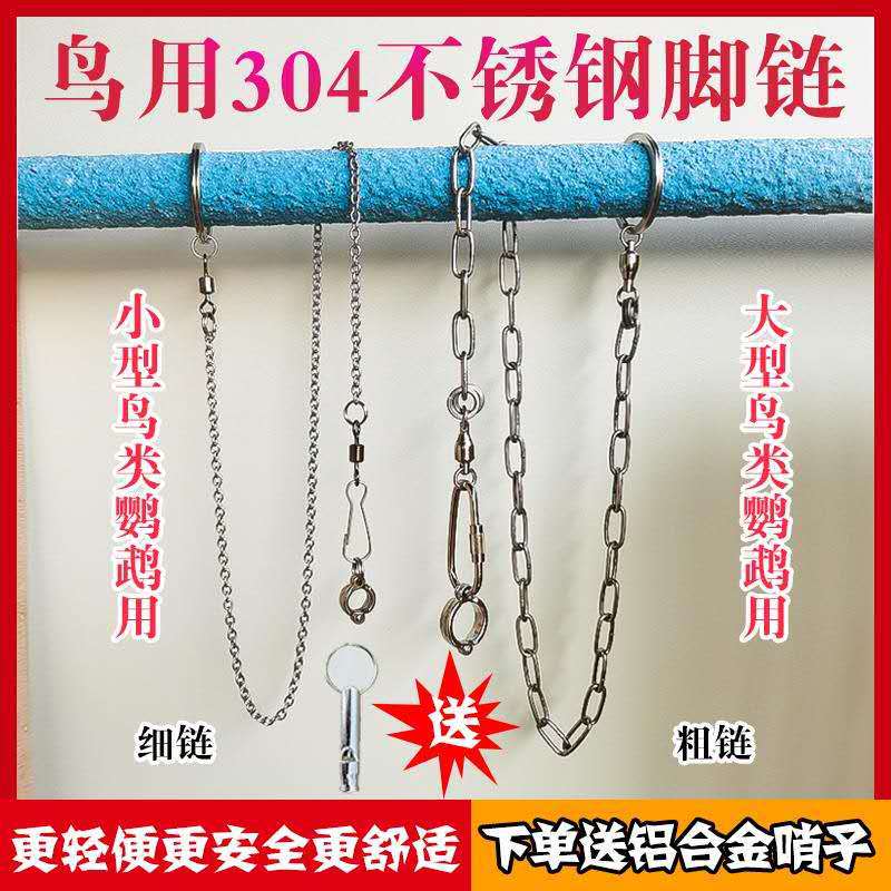 鹦鹉脚链玄凤牡丹大头虎皮鸟用放飞绳脚环链不锈钢鹦鹉脚链环专用