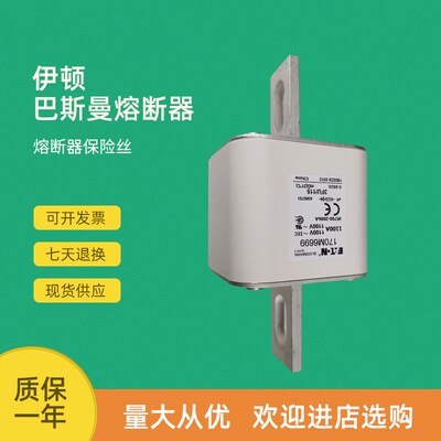 全新快速熔断器保险170M6921 170M6922 170M6923 170M6924