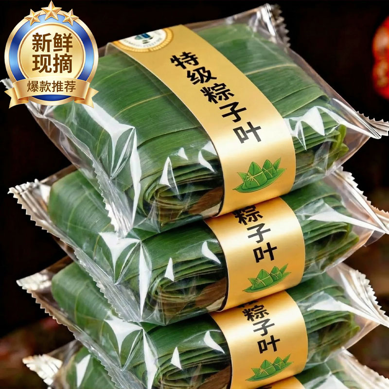 端午节包粽子专用粽子叶新鲜现摘宽粽叶大粽叶官方旗舰店真空包装