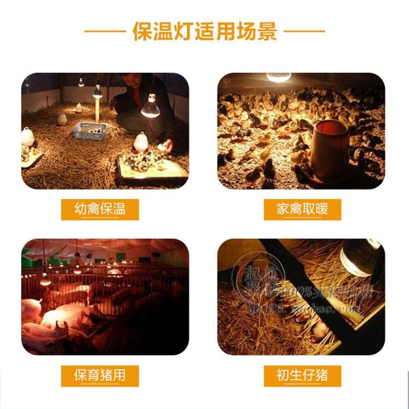 发热灯泡猪用保温灯小鸡育雏兽用加热灯泡养殖鸡用节能取暖灯泡