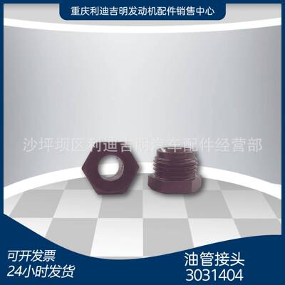 重庆接K19K38K50NT855柴油发动机配件现货3031404油管接头