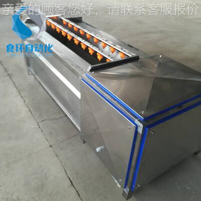 红薯去皮清洗机现NQD货销售山药去皮去清蛎洗机  牡扇贝泥毛刷清