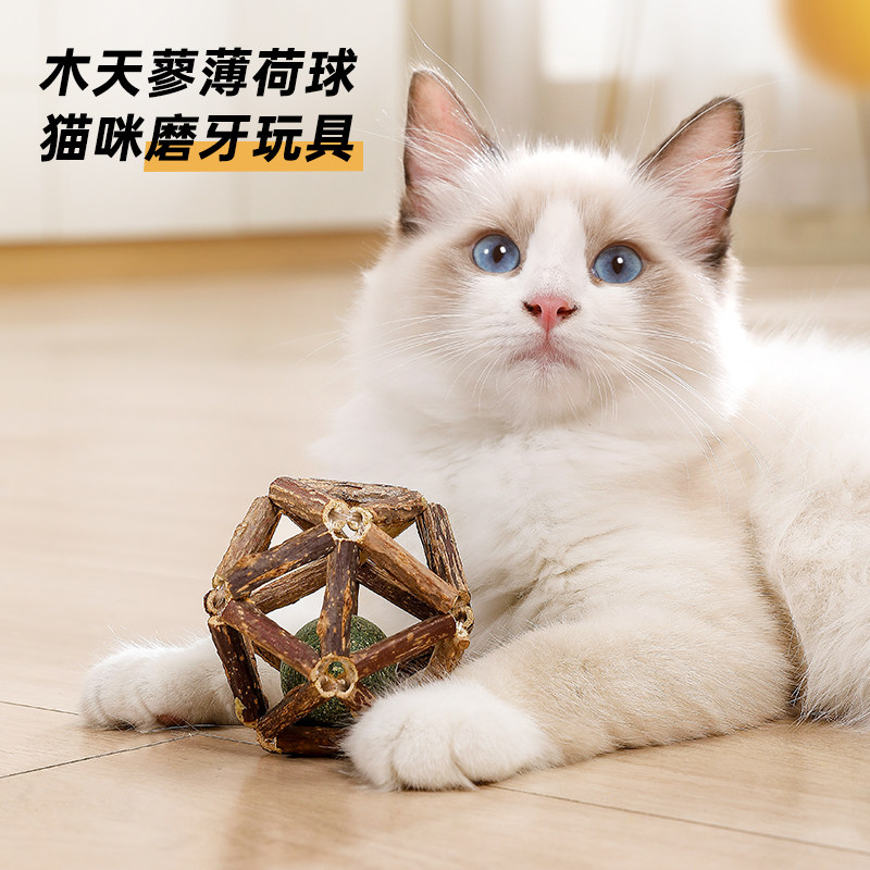猫玩具薄荷球磨牙棒木天蓼小猫逗猫棒幼猫自嗨解闷神器猫咪的用品