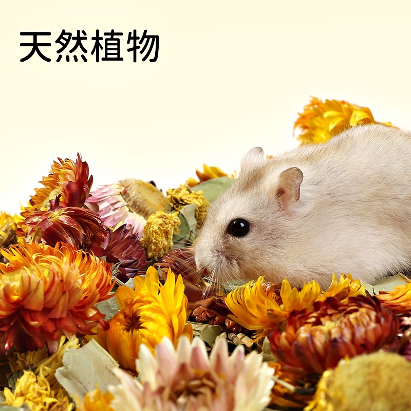 它适梦花园仓鼠花草垫料金丝熊仓鼠笼子装饰造景木屑四季用品
