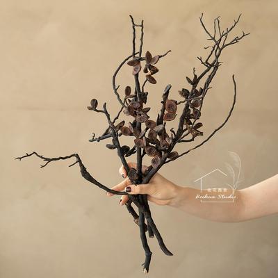 澳洲进口火烧碳化哈克木 小众设计感高端花材 禅意诧寂风树枝复古