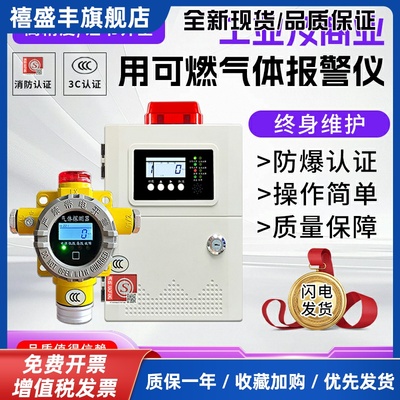 工业可燃气体探测报警器装置商业天然气液化气防爆泄露浓度检测仪