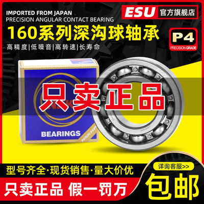 日本NSK进口高速轴承16001 16002 16003 16004 16005 16006 16007