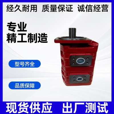 8065钻机双联泵打桩机掘