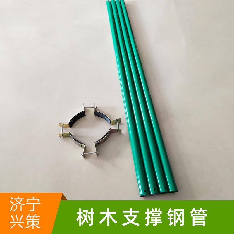 苗木固定钢管支撑杆树木防歪支撑架绑带园林铁抱箍镀锌管固定器