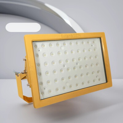 BLED9101仓库罐区LED防爆灯 石油化工厂防腐防爆路灯50/100/120W
