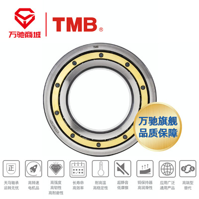 TMB天马精工深沟球绝缘轴承