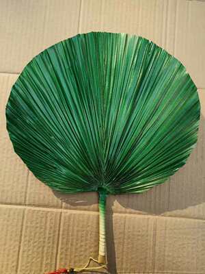 古典舞蹈我和月亮说句话扇子芭蕉扇子济公扇子舞蹈绘画扇