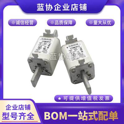 快速熔断器保险丝170M3808-3813