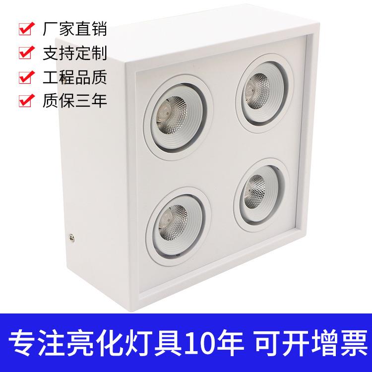 方形4头3头2头单头明装豆胆灯10W20W30W40W家具展厅商业照明专用