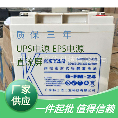 6-FM-24铅酸免维护电池12