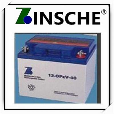 ZINSCHE蓄电池12-OPZV-40