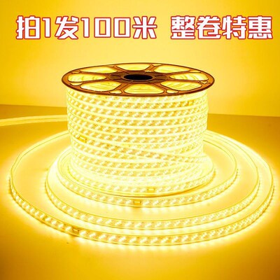 led灯带高亮变光家用客厅吊顶户外跑马光带220Vled灯条一件起批