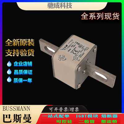 巴斯曼170M5715 170M5716 170M5717 现货直销 零售 高速熔断器